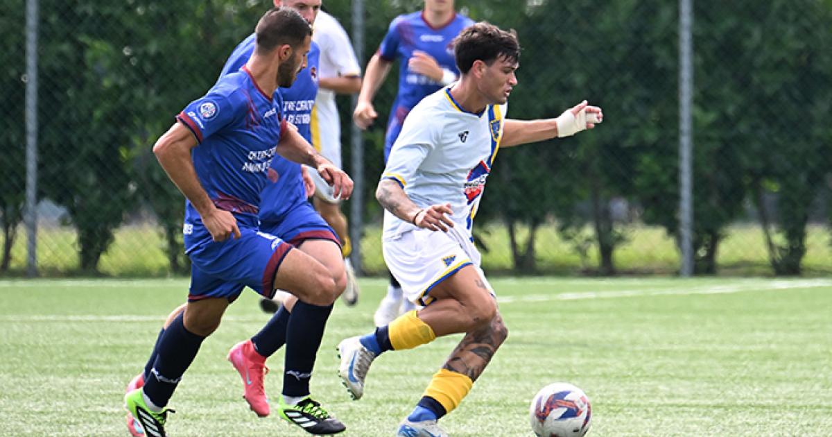 L'Arce sale a quota 6: vinta a tavolino la gara contro la Tivoli - Gazzetta Regionale